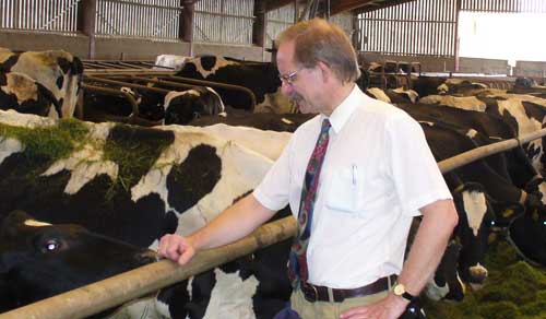 Dairy advice and consultancy from The Dairy Group